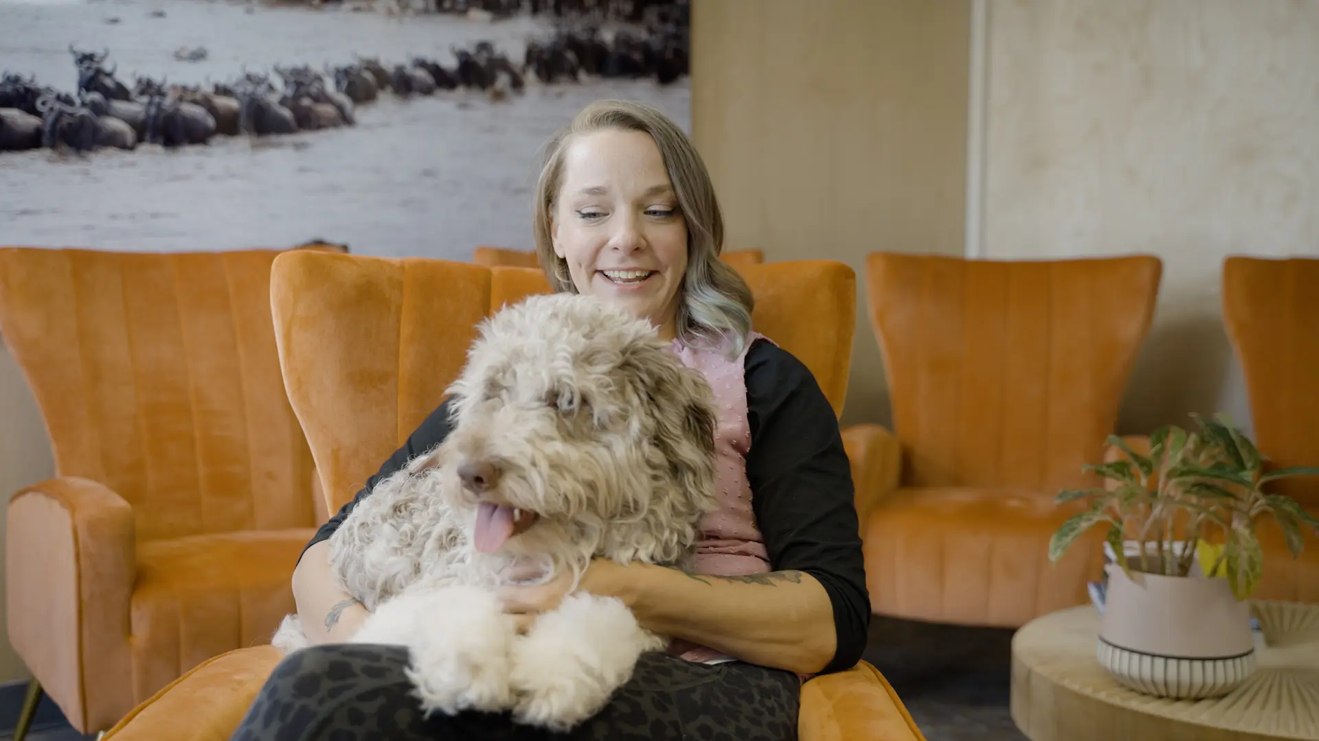 Blog | Lenity Vet Specialists + Emergency Care