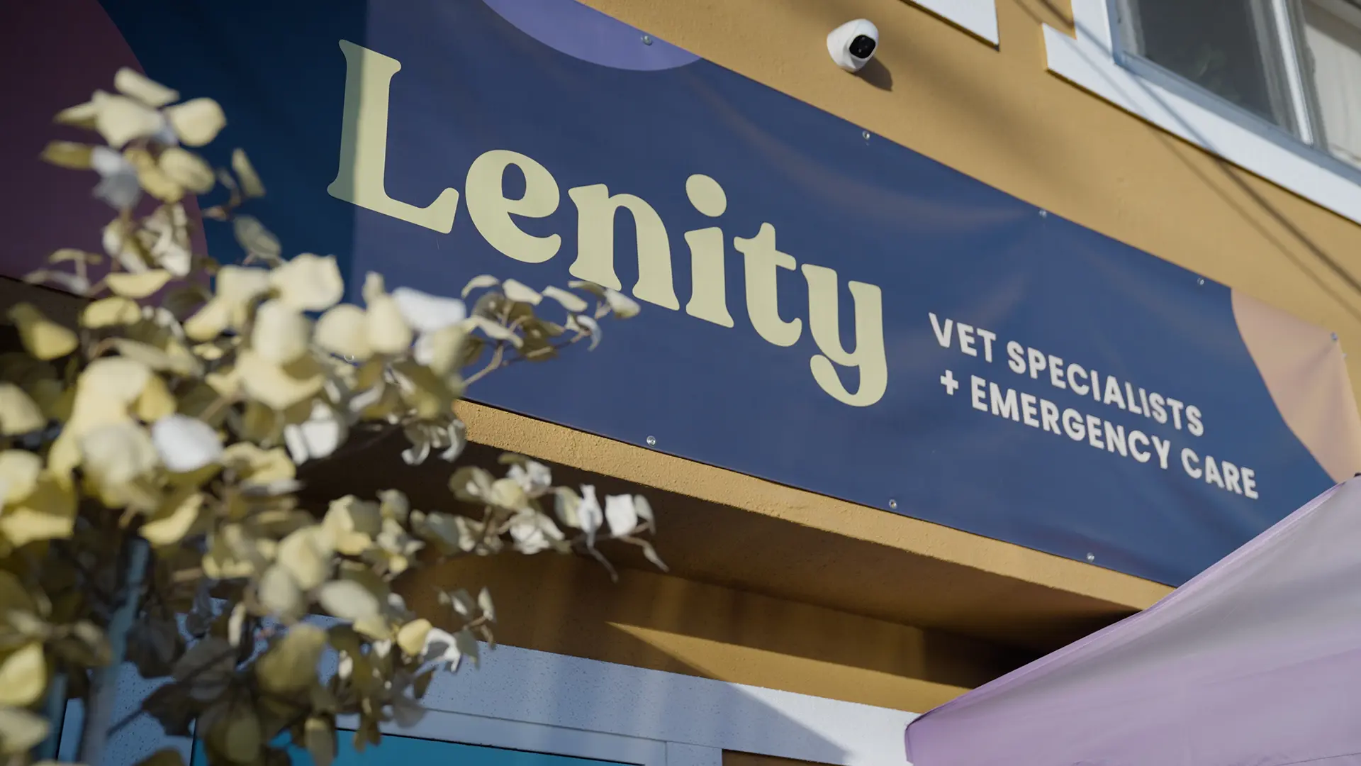 Contact Us | Lenity Vet Specialists + Emergency Care