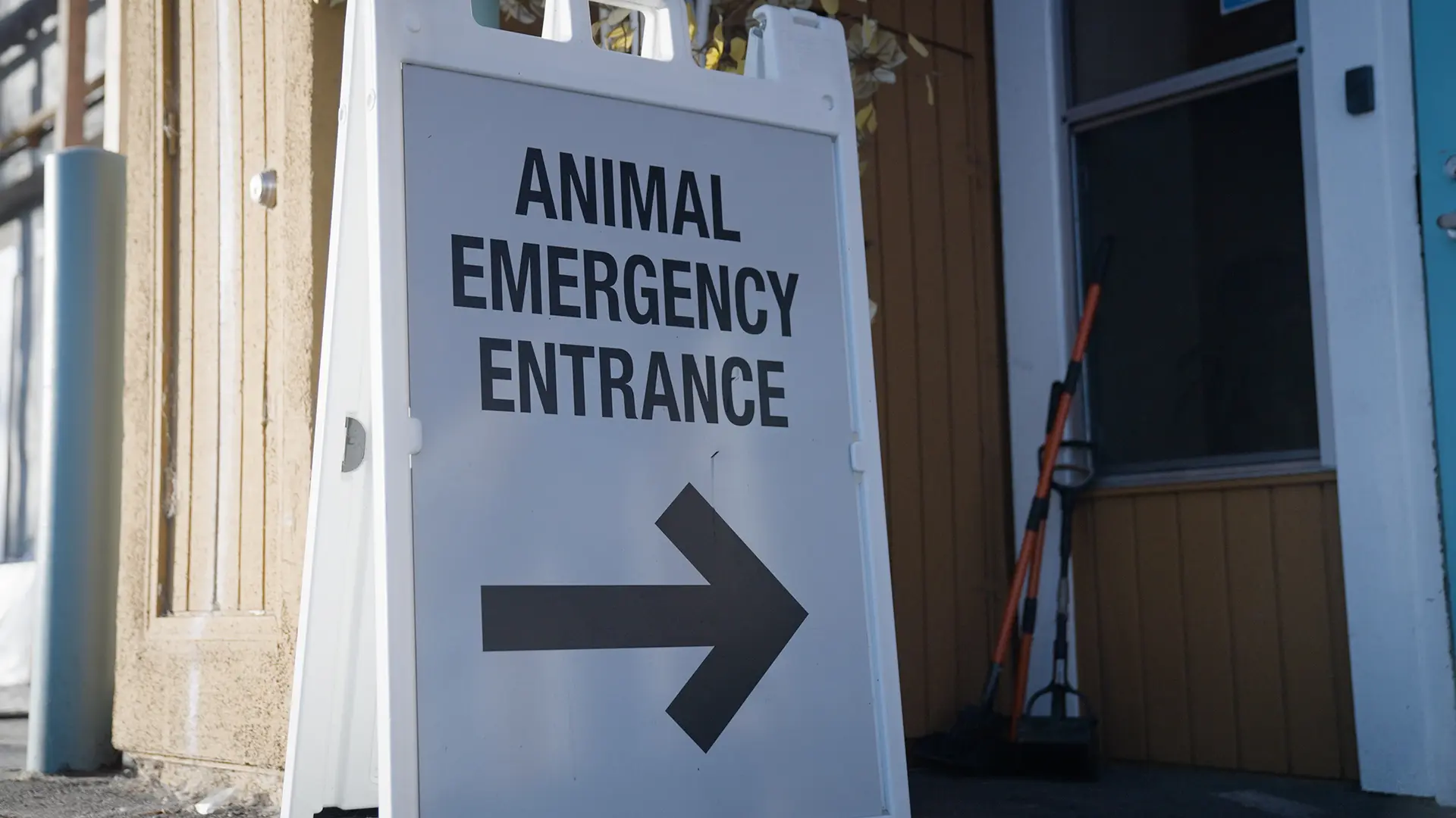 Emergency Veterinary Care | Lenity Vet Specialists